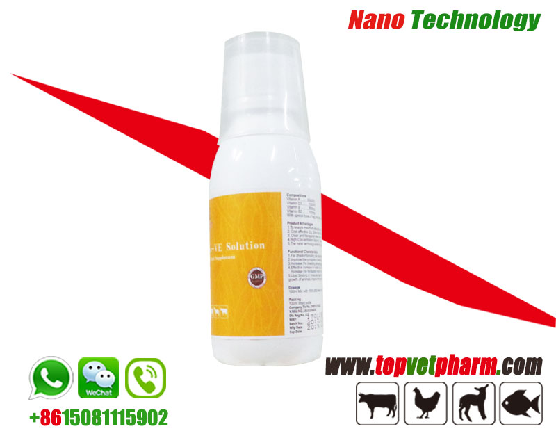 Nano Vitmin E Oral Solution
