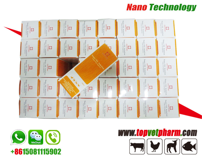 Nano Vitmin E Oral Solution