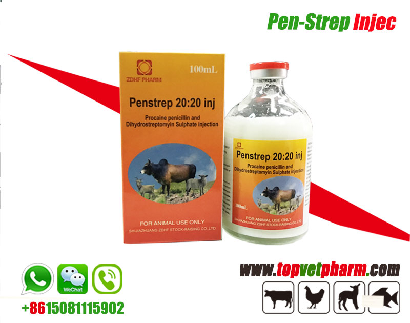 Pen Strep Suspension 20:25 Pen Strep Injectable Solution