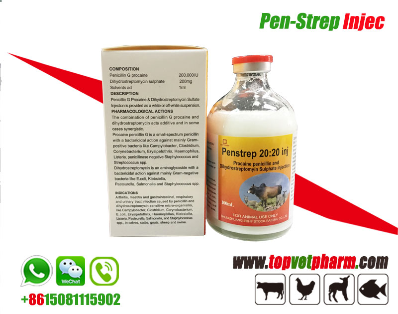 Pen Strep Suspension 20:25 Pen Strep Injectable Solution