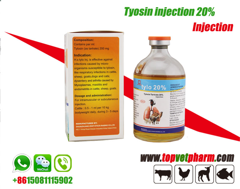 10% 20% Tylosin Injection China