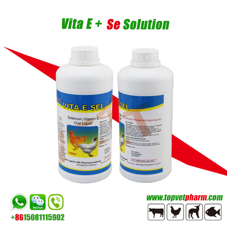 Veterinary Anti Coccidia Sulfadimidine Powder