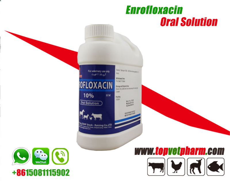 Enrofloxacin Oral Solution 10% 20%