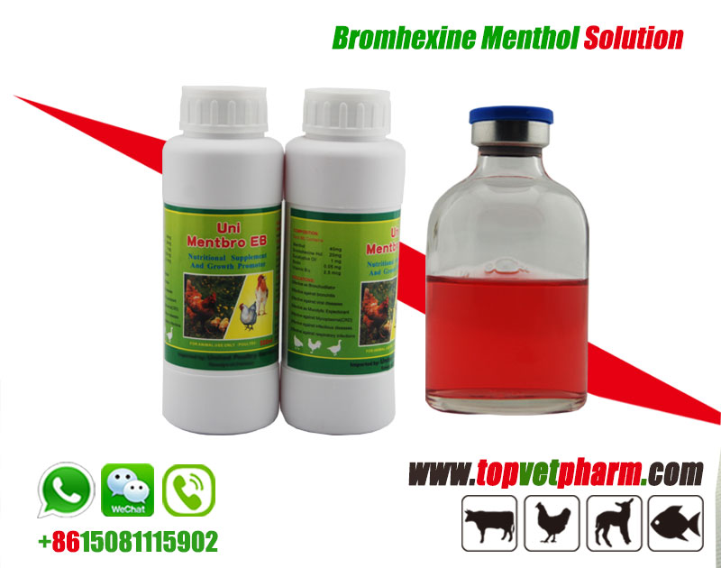 Menthol Bromhexine Hcl oral solution
