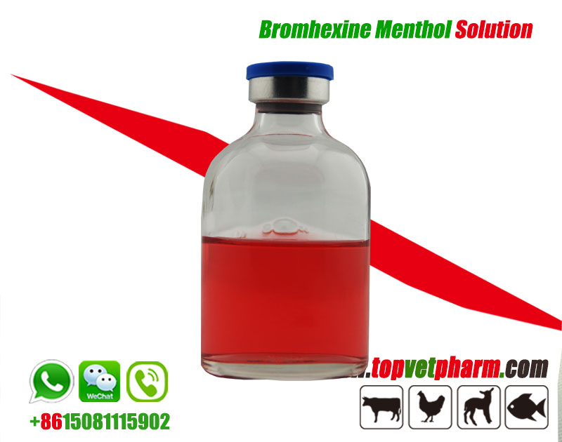 Menthol Bromhexine Hcl oral solution