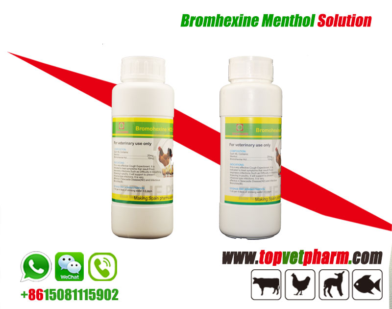 Menthol Bromhexine Hcl oral solution