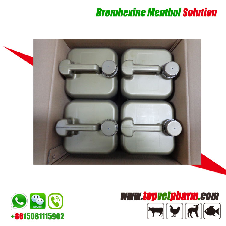 المنثول بروميكسين الحل عن طريق الفم Menthol Bromhexine Hcl Oral Solution