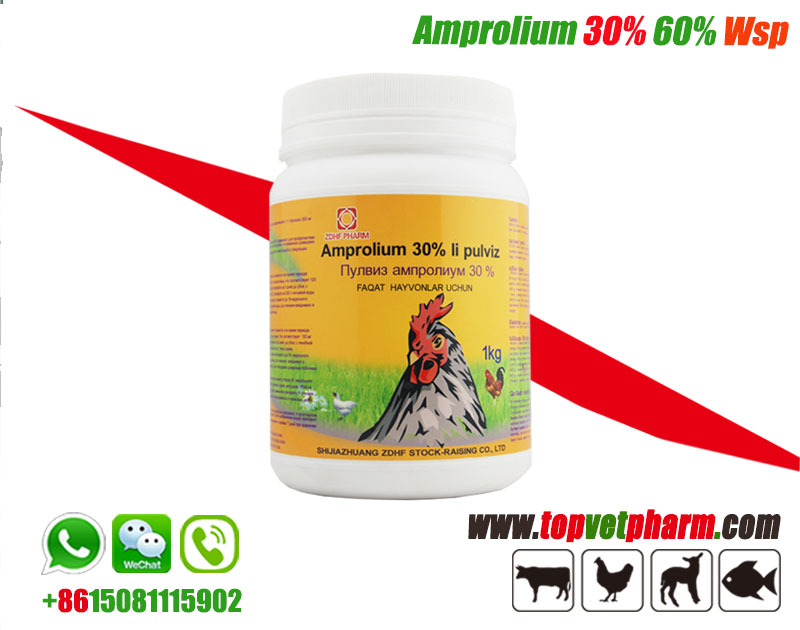 Anti Coccidiosis Amprolium Powder