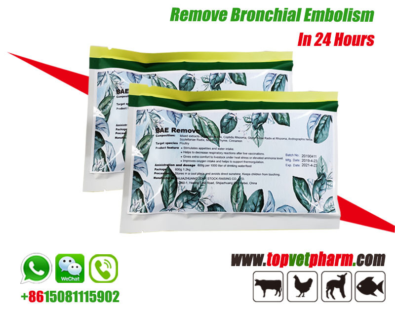 Remove Bronchial Embolism Herbal Treatment For Poultry Farming