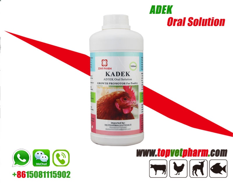 Chicken Immune Booster Products