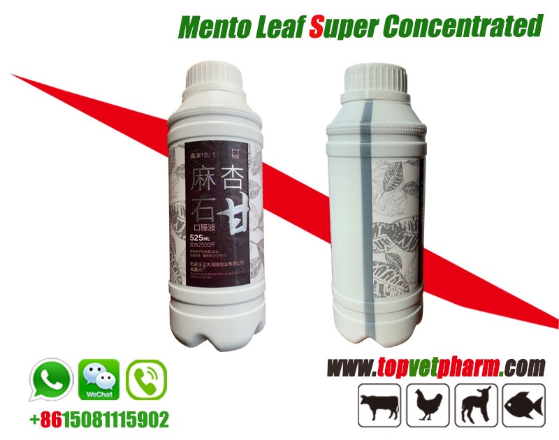 Poultry Flock Respiratory Diseases Increased Mucus Secretion ...