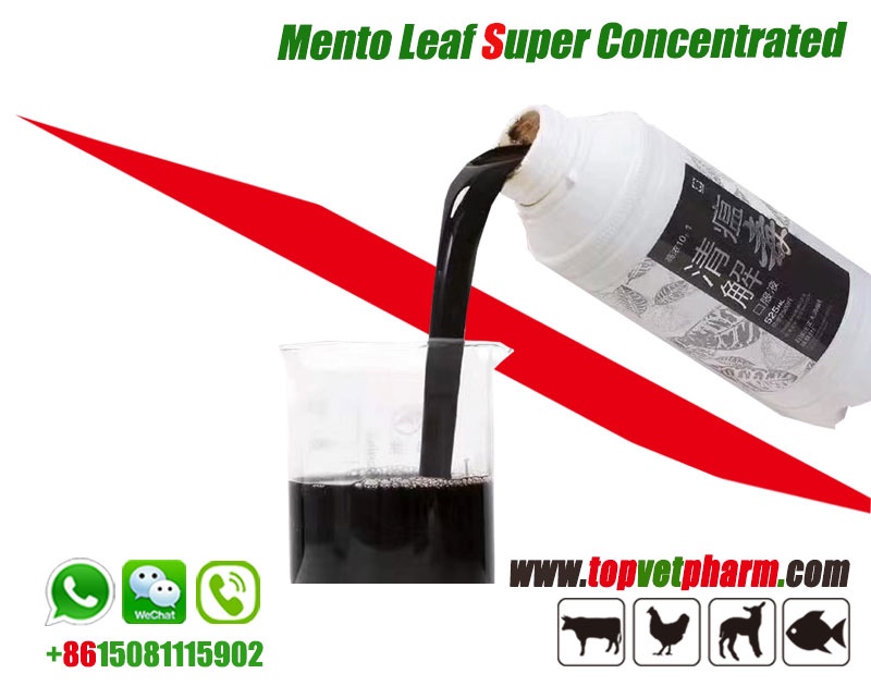 Poultry Flock Respiratory Diseases Increased Mucus Secretion ...