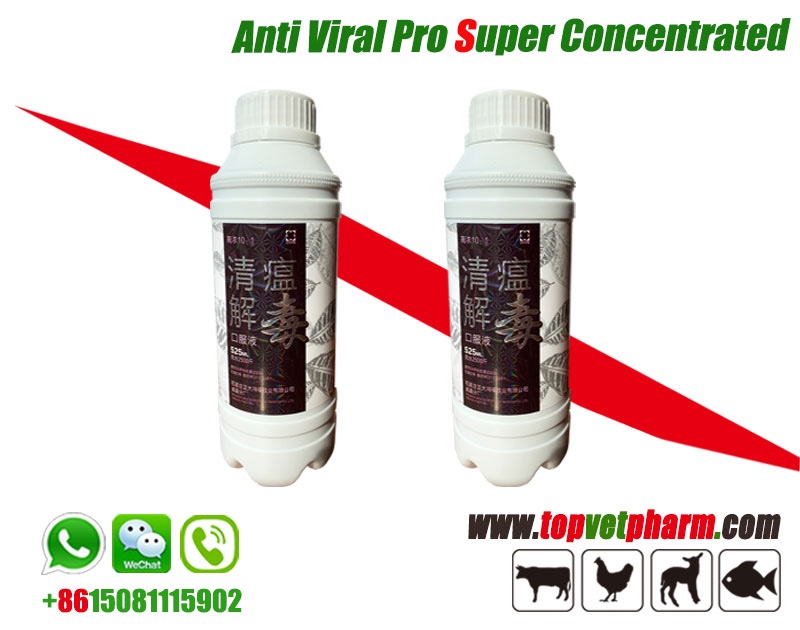 Anti Viral For Poultry
