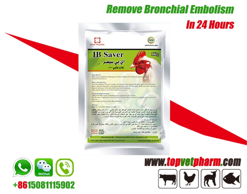 Chicken Respiratory Disease Treatment